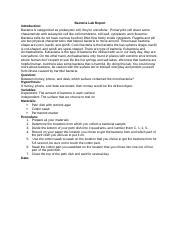 Bacteria Lab Report Docx Bacteria Lab Report Introduction Bacteria Is Categorized As