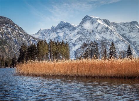 Autoencoder Feature Extraction For Regression