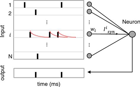 Lif Neuron Model Vertical Bars Represent Spikes And Dashed Curves