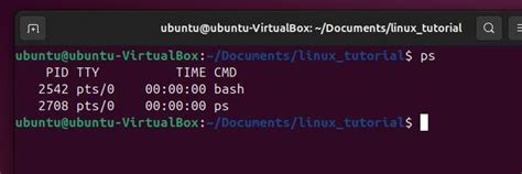 Top 50 Linux Terminal Commands Every Roboticist Should Know