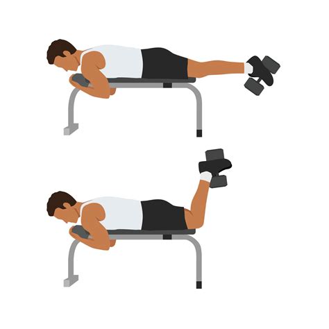 Dumbbell Hamstring Curl