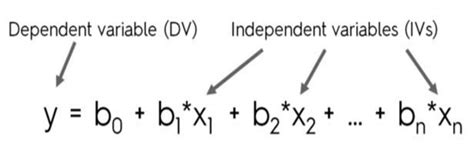 Multivariate Linear Model Download Scientific Diagram