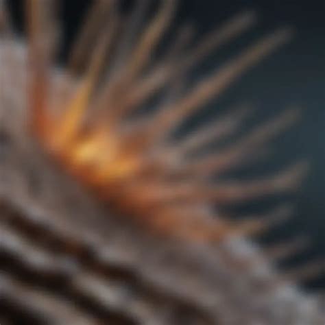 Understanding Scanning Electron Microscopy Principles And Applications