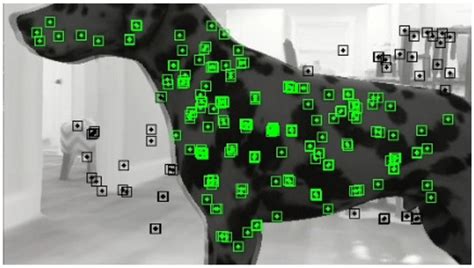 Sensors Special Issue Vision Based Sensors In Navigation Image Processing And Understanding