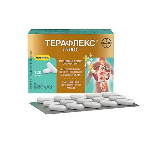 БАДы тонизирующие и общеукрепляющие Терафлекс плюс 740мг №120 (бад ...