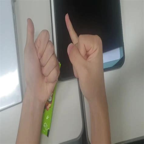 Pp Total Object Detection Dataset And Pre Trained Model By Opensource