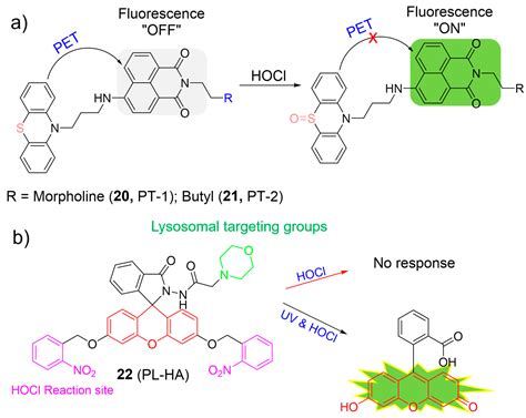 Recent Development Of Lysosome Targeted Organic Fluorescent Probes For