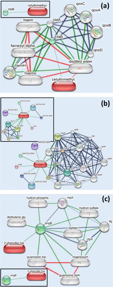 Direct And Indirect Compound Protein Interactions Of A Ctab B