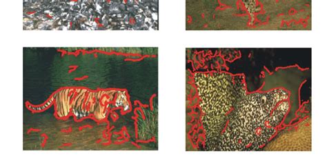4 Scale Edges Detected From The Scale Map Download Scientific Diagram