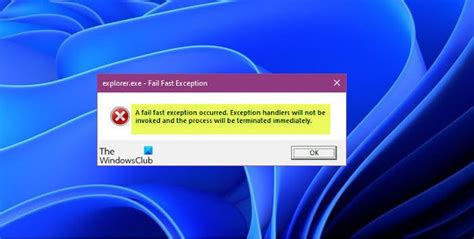 fix fail fast exception error on windows 11 10