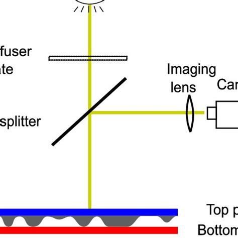 A Schematic Of The Convection Cell And The Visualization Strategy Download Scientific Diagram