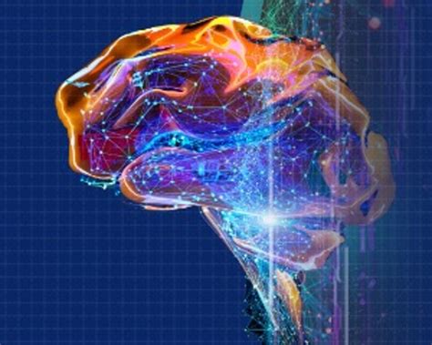 Covid 19s Impact On Your Neurological Health Neuroscience