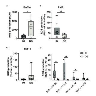 Neutrophils Purified By Immunomagnetic Isolation Release More ROS Download Scientific Diagram