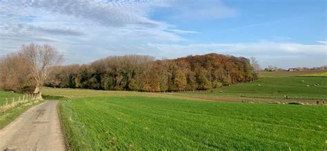 The Great Importance Of Small Woods Dare To Think