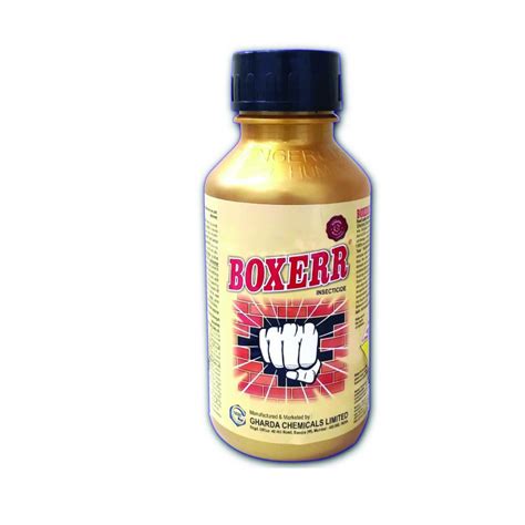 BOXER