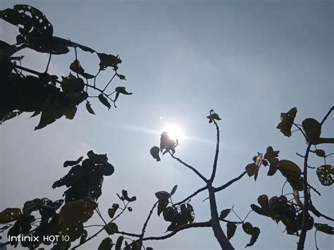 shubham yadav shubham ydv 99 instagram photos and videos