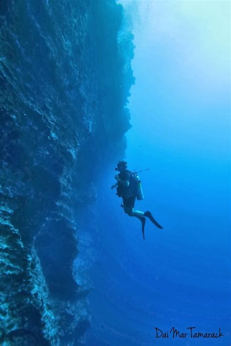 What Is A Wall Dive At Leticia Martinez Blog