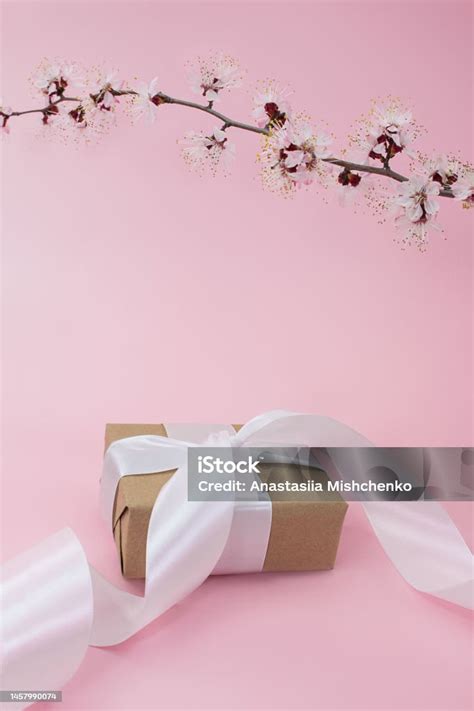 체리 살구 사쿠라의 가지 분홍색 배경에 리본이 있는 선물 상자 휴일 국제 여성의 날 어머니의 날 생일 3 월 8 일 세로 복사 공간 3월에 대한 스톡 사진 및 기타 이미지