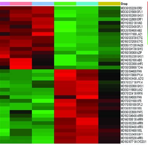 module trait associations each row corresponds to a module and each
