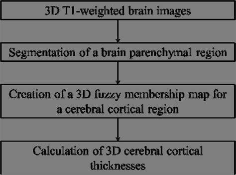 Overall Scheme For The Calculation Of Three Dimensional Cortical Download Scientific Diagram