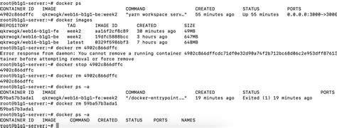 Ncp에 Vpc And 인스턴스 구성 Db 설치 및 설정 Docker 이미지 생성 및 관리 Nginx 설정 Docker