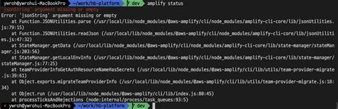 Amazon Web Services Aws Amplify Error Jsonstring Argument Missing