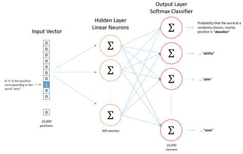 example of shallow neural network for the skip gram model