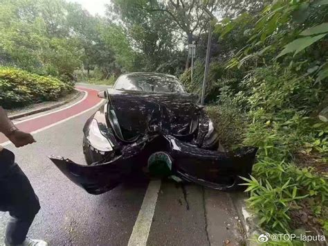 tesla model 3 presumably on ap crashes into tree doesn t deploy