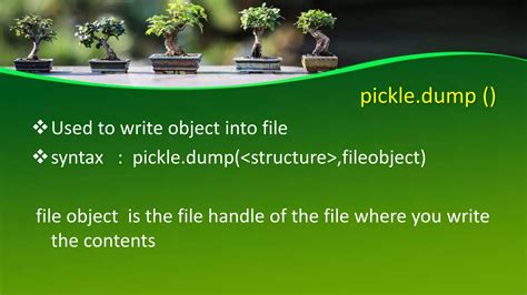 cbse class 12 ch 5 file handling access mode csv binary file
