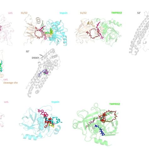 The Ligands In Complex With Their Targets The Initial Configurations Download Scientific