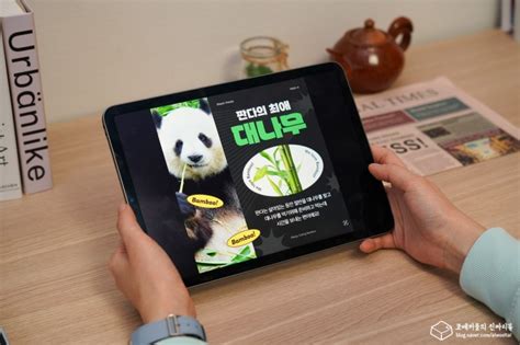 카드뉴스 디자인 방법 잘 읽히는 콘텐츠 만들기 비법 공유 네이버 블로그