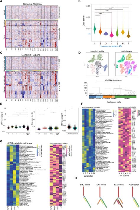 Figure 2 From Integrated Single Cell Rna Seq Analysis Identifies Immune
