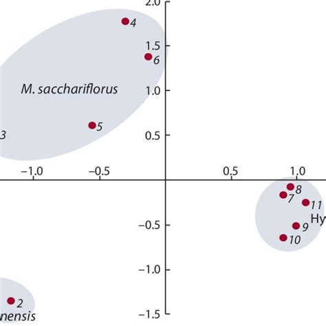 principal component analysis of extracts from 11 miscanthus specimens