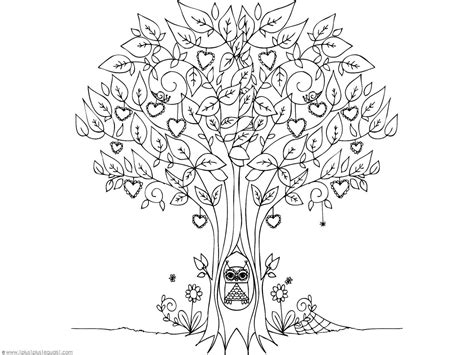 Раскраски древо