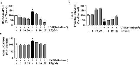 Effects Of R7 On The Mrna Expressions Of Mmp 1 Mmp 3 And Type I Download Scientific Diagram