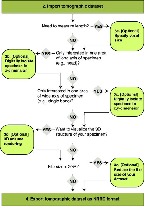 Decision Tree For Workflow Steps All Performed In The Using The Download Scientific