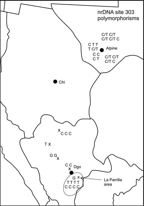 Geographic Variation In Its Site 303 See Text For Discussion Download Scientific Diagram