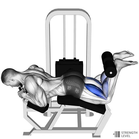 Lying Hamstring Curls