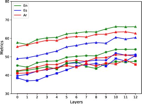 multilingual and multilabel emotion recognition using virtual