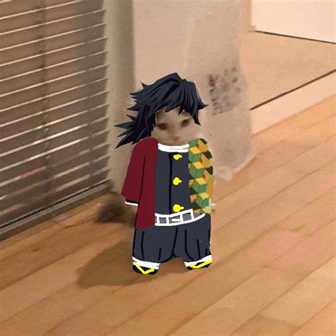 Inosuke Cat Pfps Artofit