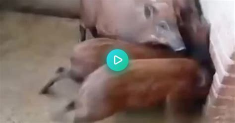 Low Friction Coefficient Album On Imgur