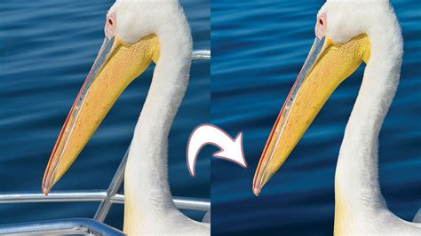 Clean Up Backgrounds In Affinity Photo How To Remove Unwanted Objects