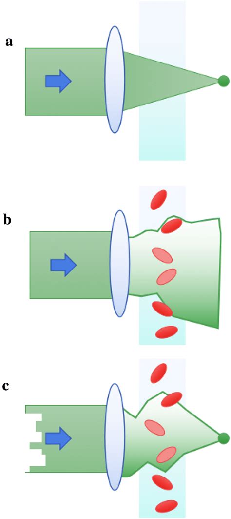 Schematic Of The Process Of Focusing Light Through Turbid Media A Download Scientific Diagram