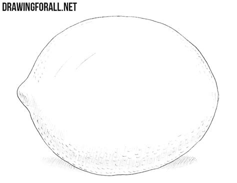 how to draw a lime