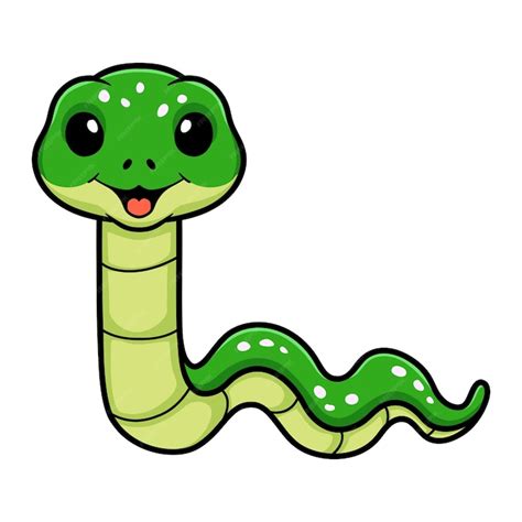 Premium Vector Cute Green Tree Python Cartoon