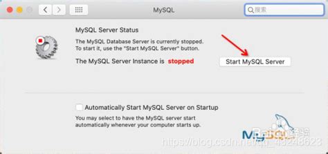 mac系统下如何使用命令行方式启动mysql mac终端启动mysql数据库命令 csdn博客