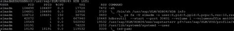 FAIL Process Hdbdaemon HDB Daemon Not Running SAP Community