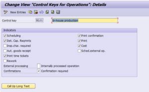 Control Key In SAP PP ERP Teacher