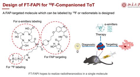 Organotrifluoroborate Enhances Tumor Targeting Of Fibroblast Activation
