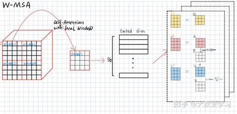 图解 代码 Swin Transformer 1 W Msa和patch Merging 知乎